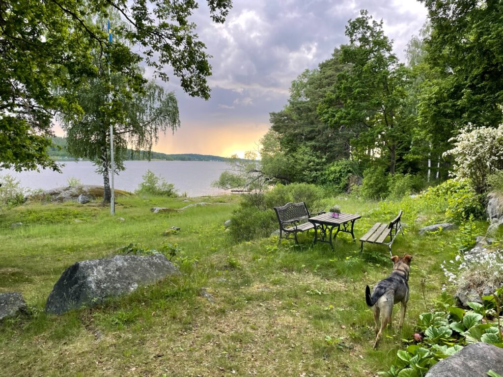 The Creativity Explorer